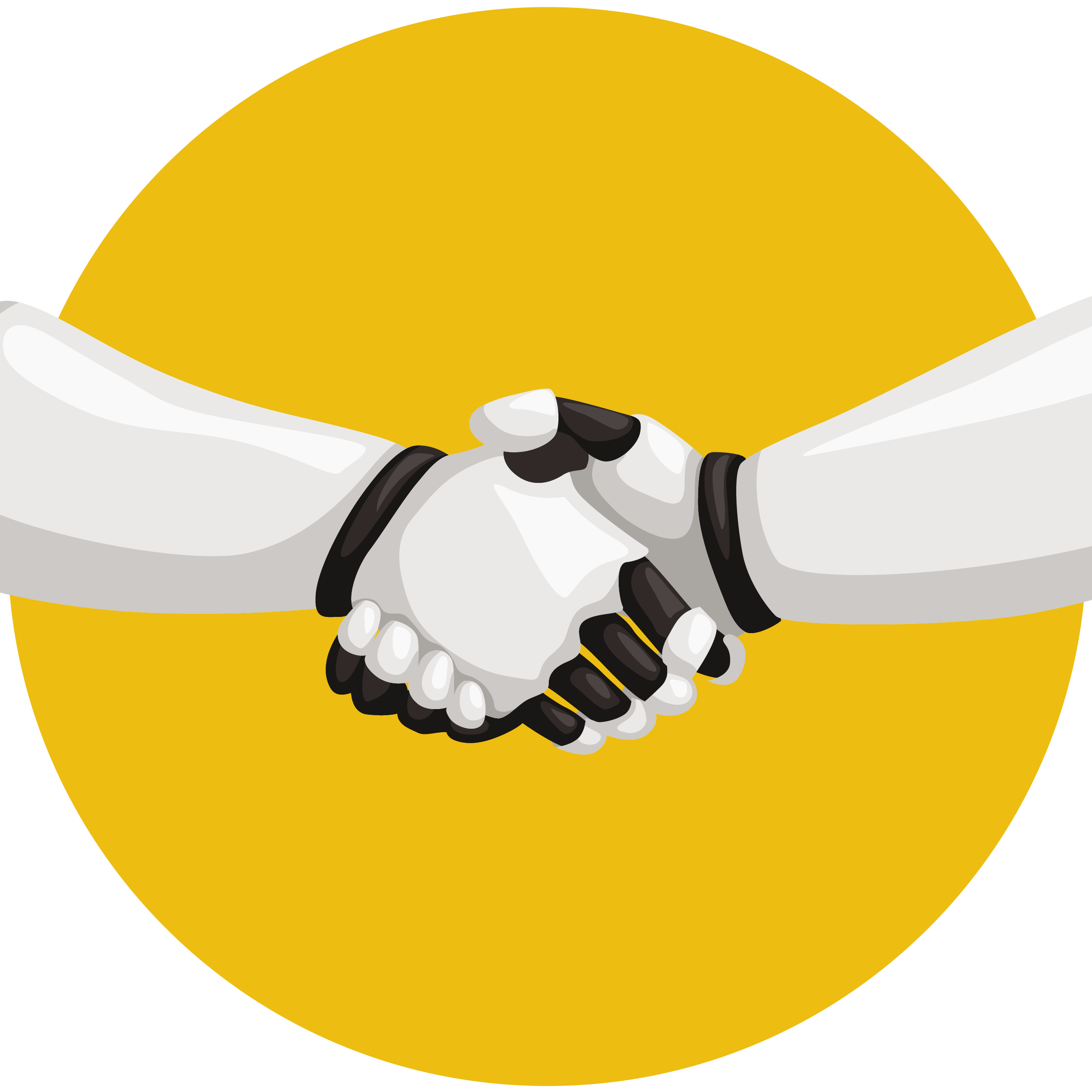 Trusted Microsoft Power Apps Partner | TNP UK